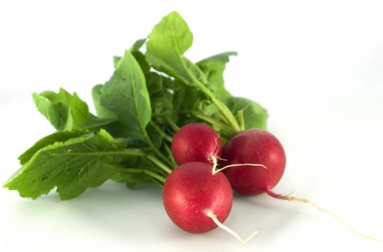 Ridichi - Răsaduri Oltenia