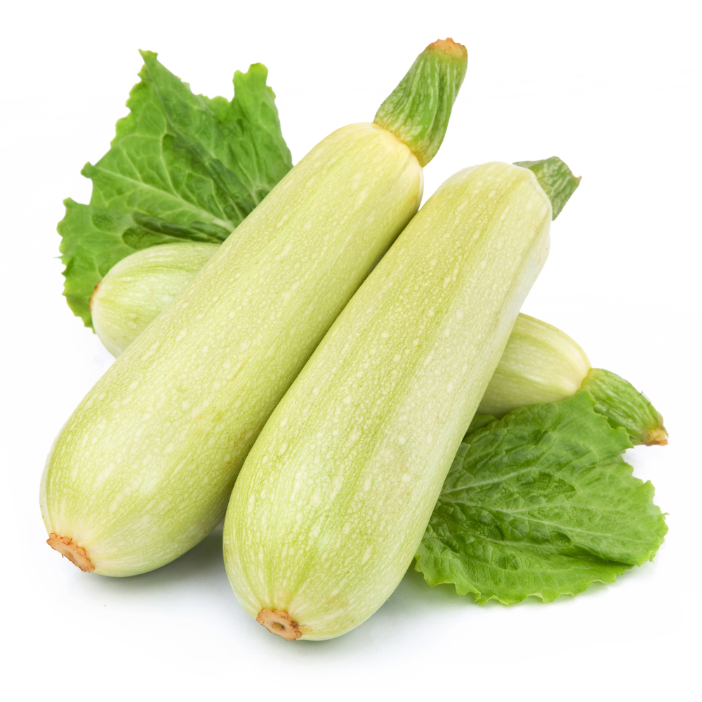 Dovlecei Cavili - Răsaduri Oltenia